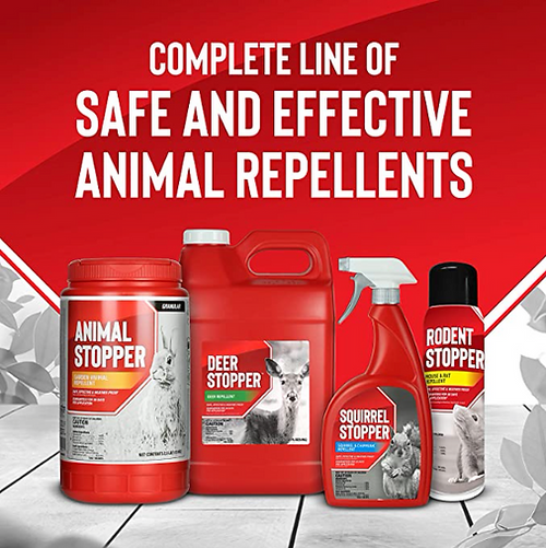Squirrel Stopper Spray | Natural Squirrel & Chipmunk Repellent