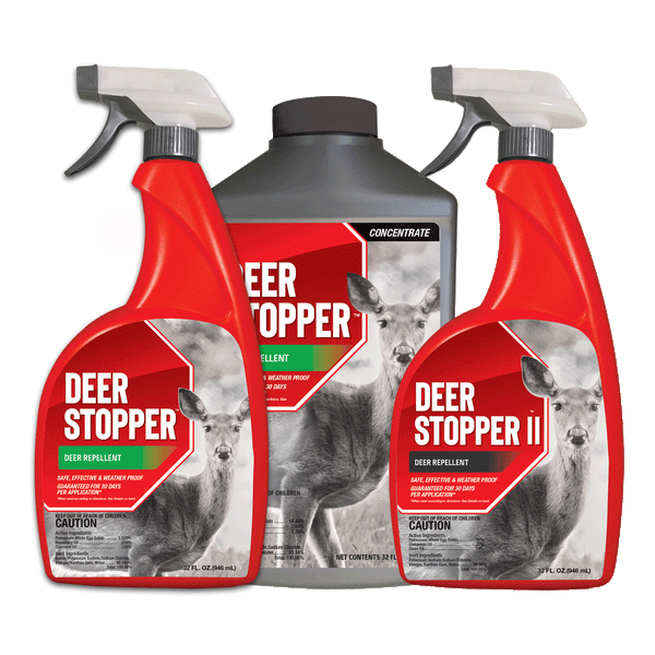 Deer Stopper Spray | Natural Deer Repellent for Gardens
