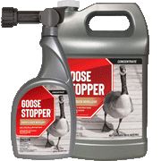 Animal Stoppers – Messinas